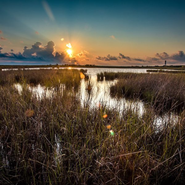 Texas City Prairie Preserve - Galveston FeatherFest